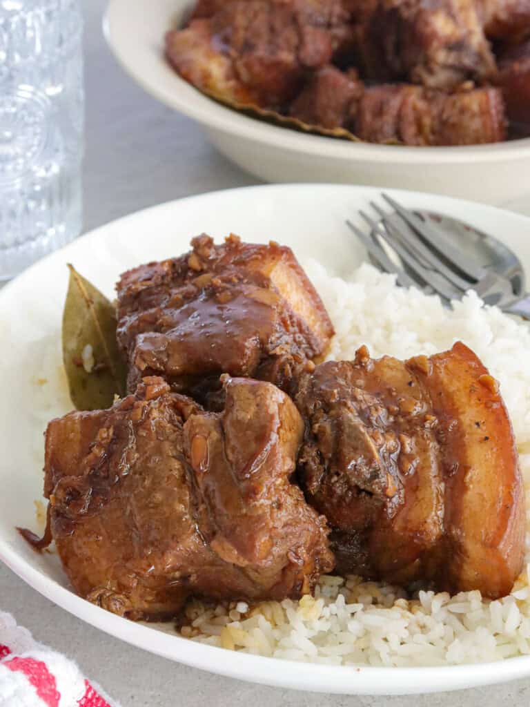 Pork Adobo - Kawaling Pinoy - Street Food Spectacle